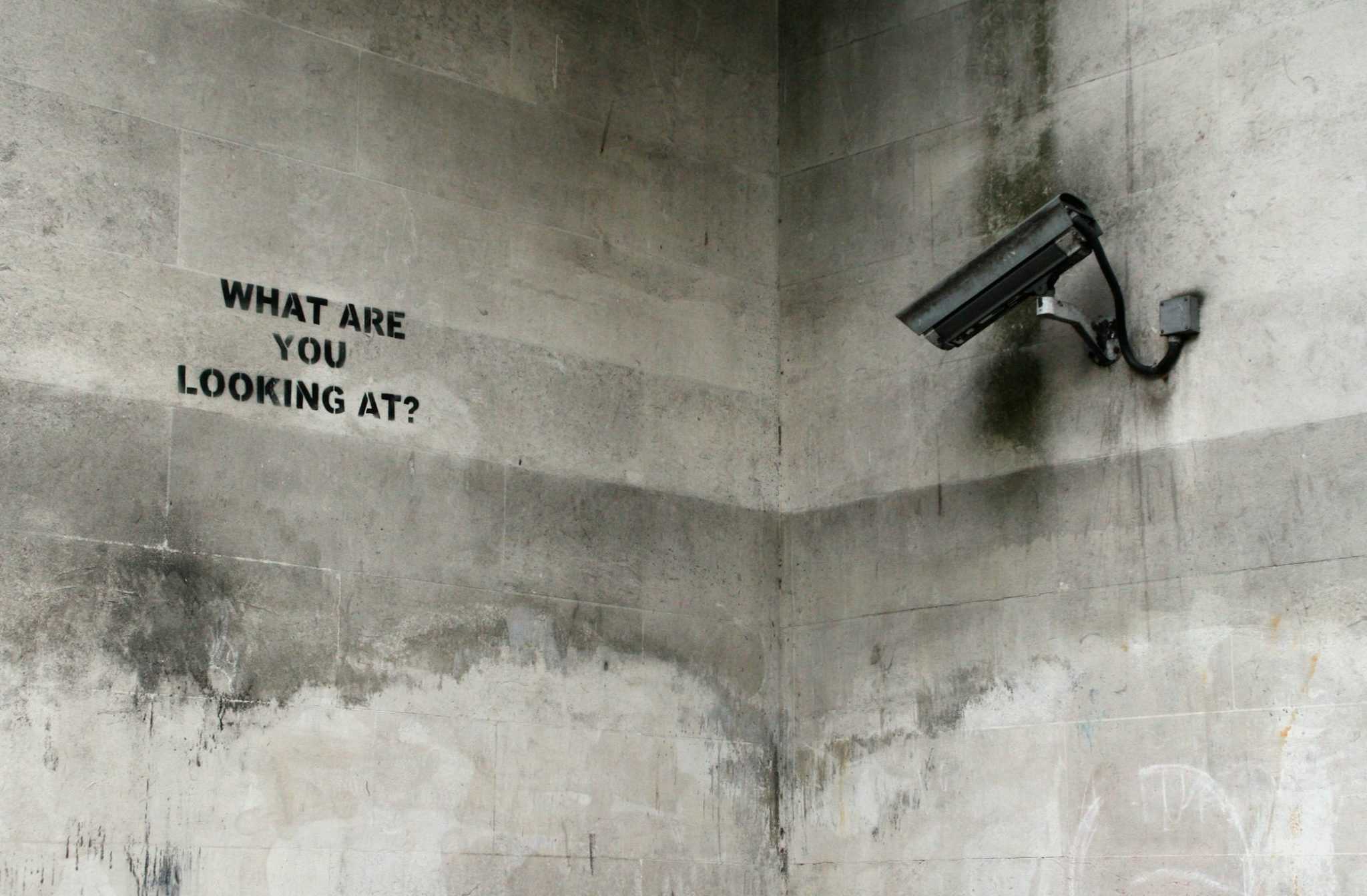 Street Art Movement: Origins, Meaning & Cultural Impact